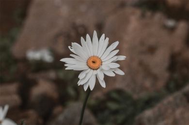 妳相信奇迹吗？ - KAIX.IN